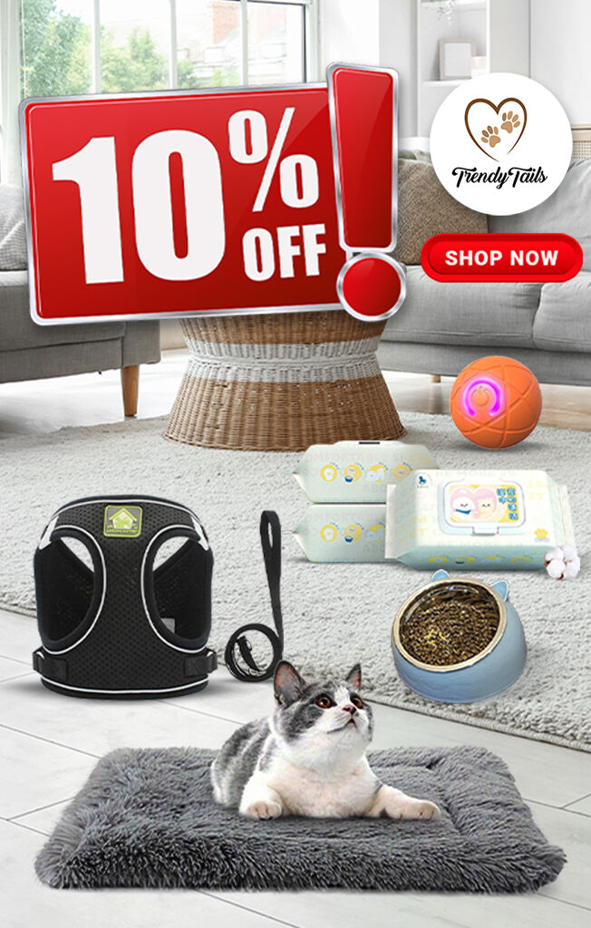 Shop Pet Food & Supplies in Kuwait: Fast Delivery & Best Prices ...